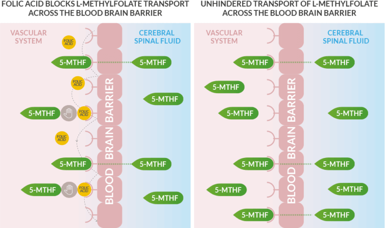active folate and mood health